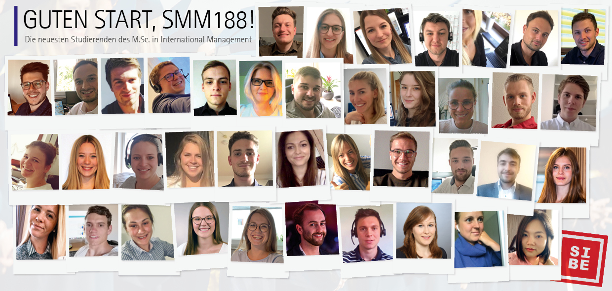 Virtueller Start ins Studium – SIBE | Steinbeis-Hochschule